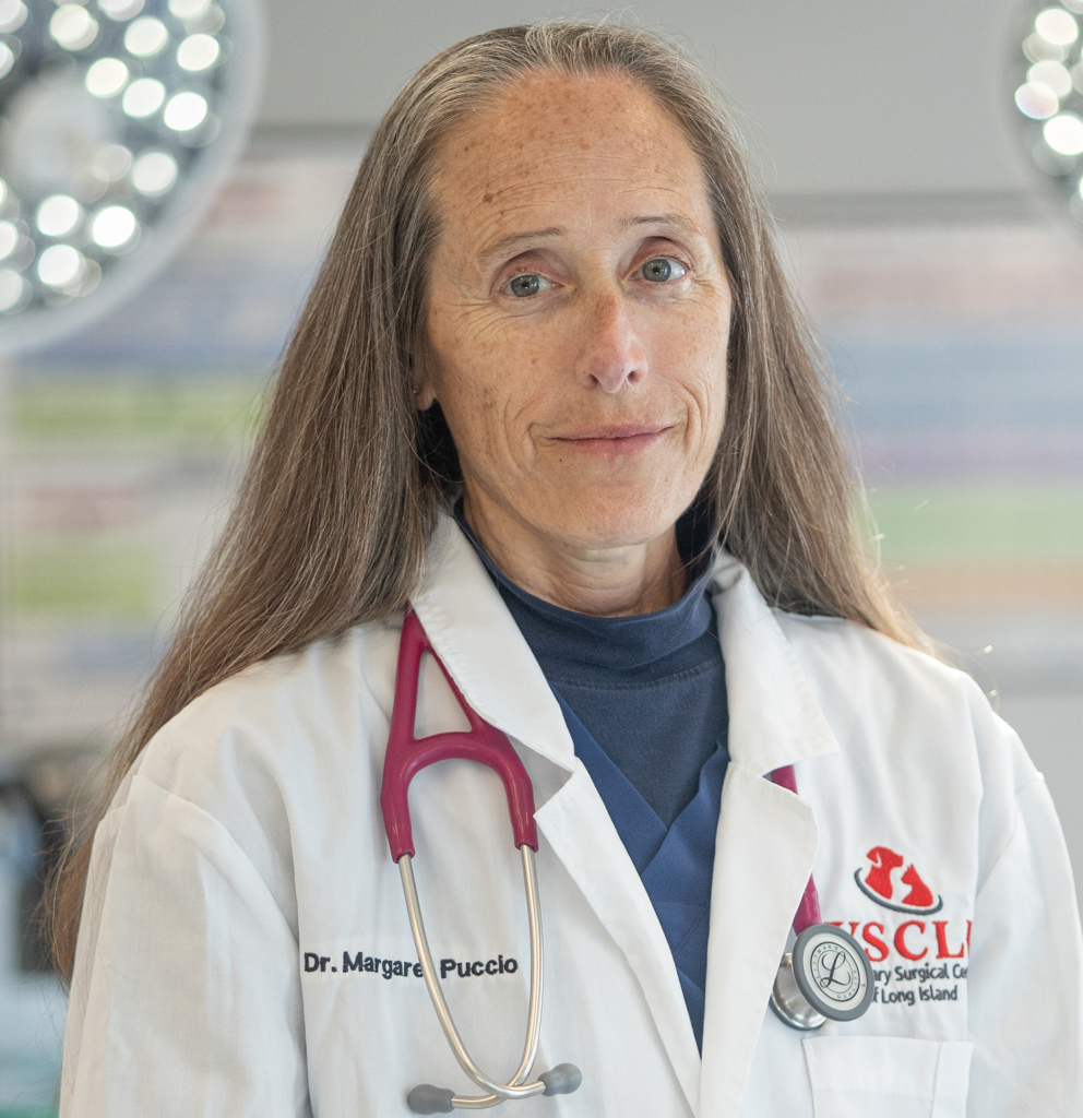 Our Team - Veterinary Surgical Center